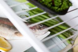 Video - Fisch entschuppen und filetieren - ichkoche