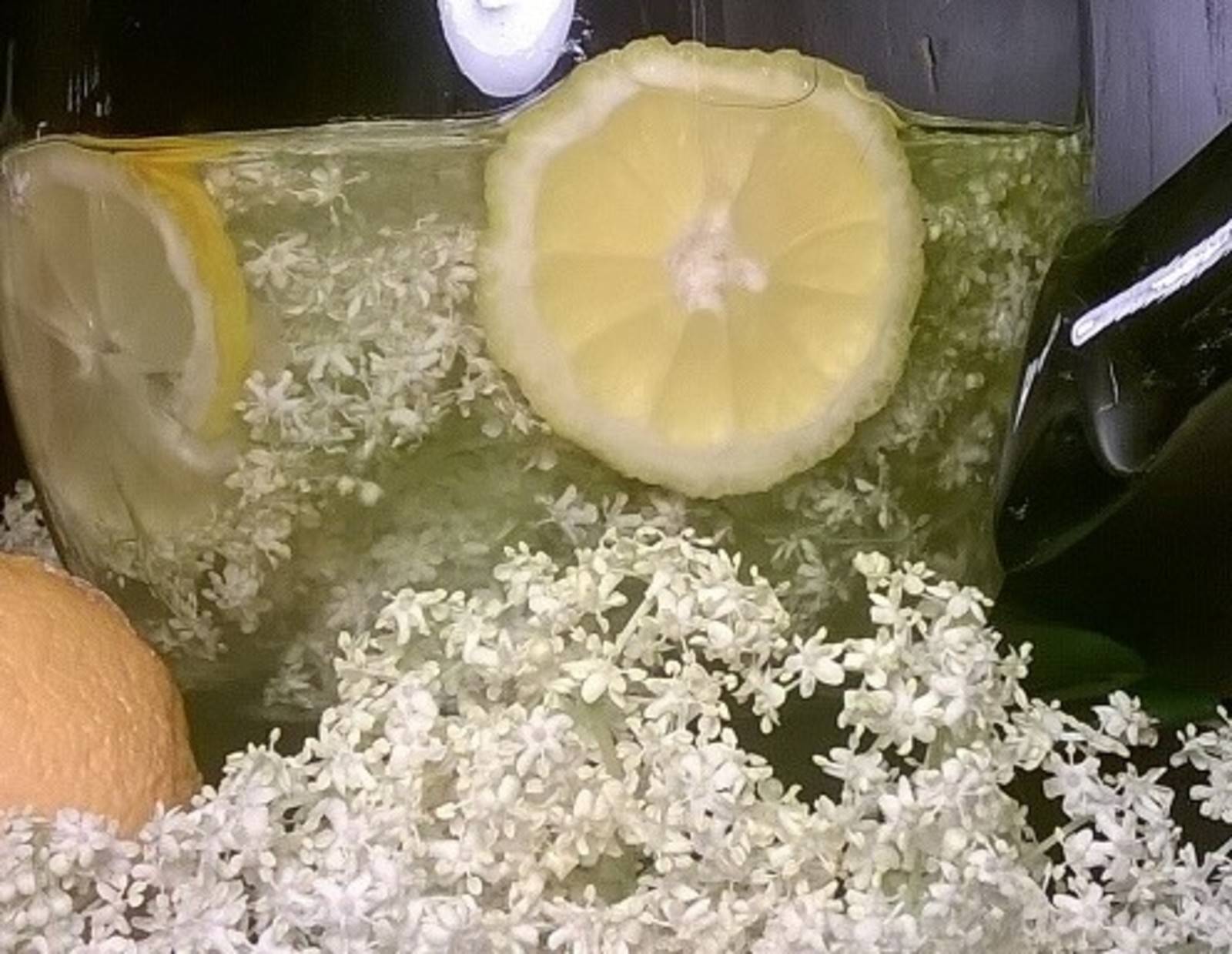 Holundersirup Rezept - ichkoche.de