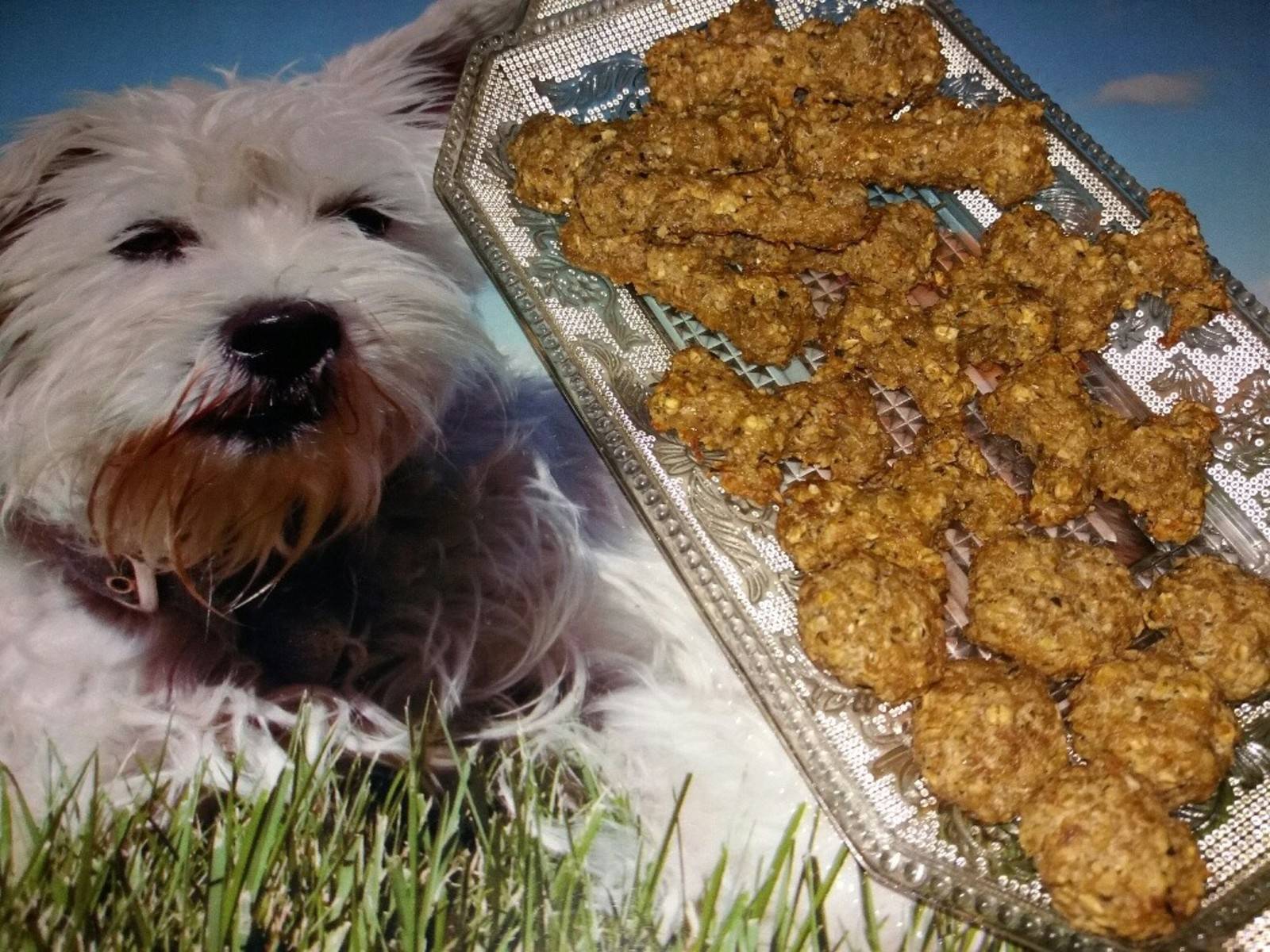Kokos Leckerli Hund Rezept