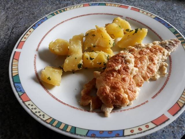 Seefisch mit Käsesauce Rezept - ichkoche.at