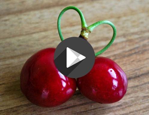 Video - Kirsche - ichkoche.at