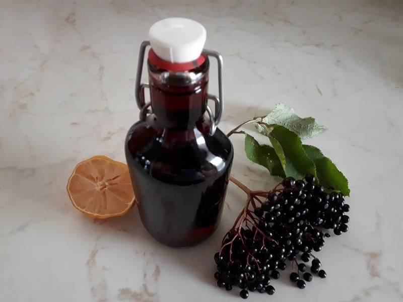 Holundersirup Rezept - ichkoche.de