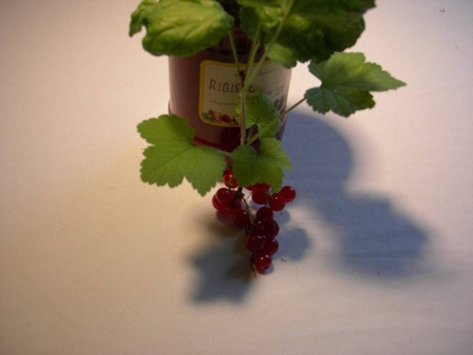 Ribiselmarmelade Rezept - ichkoche.de