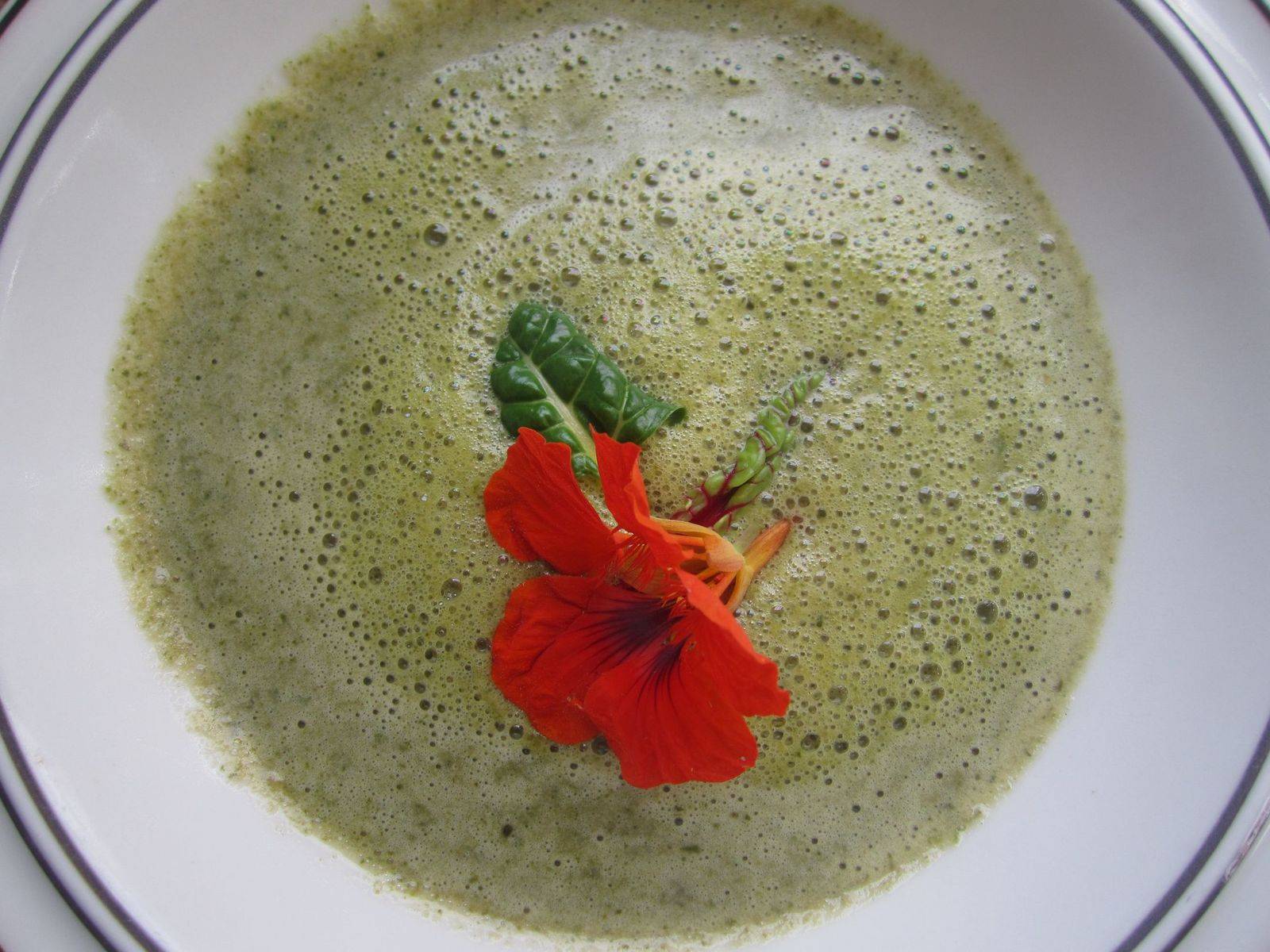 Mangoldsuppe Rezept - ichkoche.ch